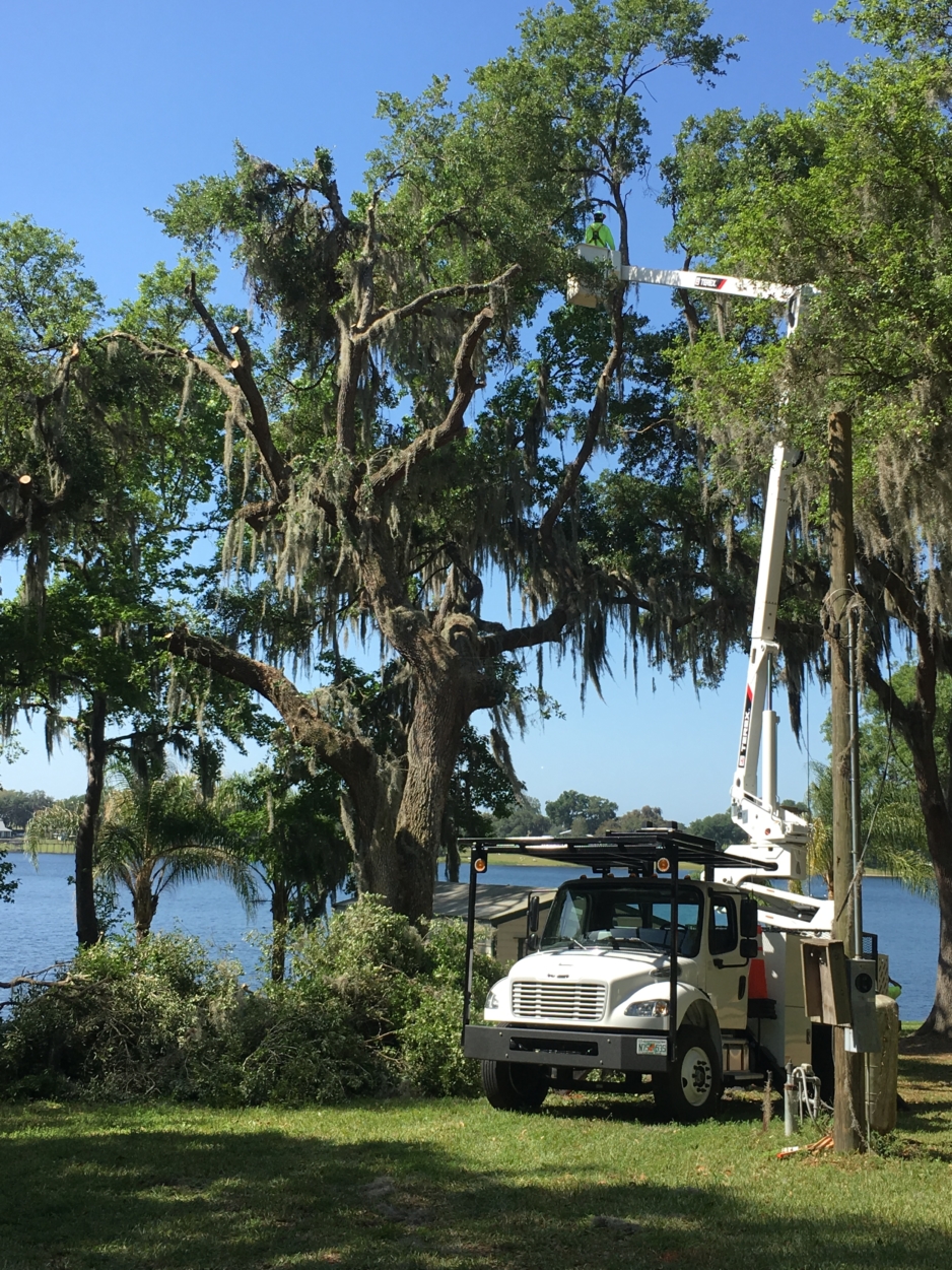 Home - Optimal Recovery LLC